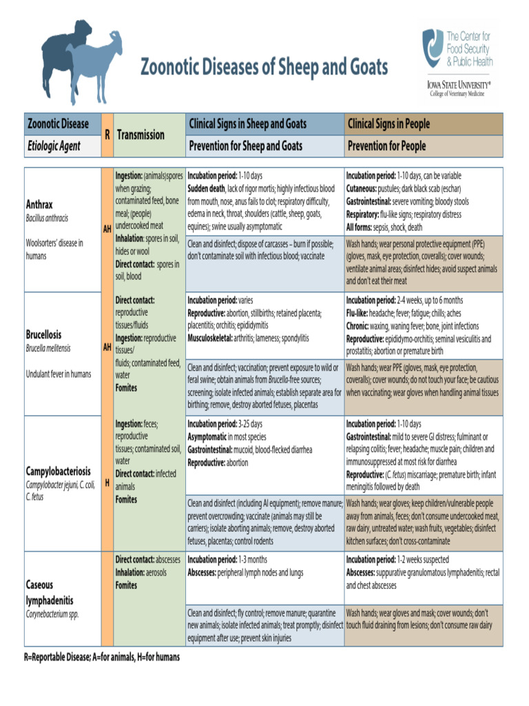 Zoonotic Diseases of Sheep Goats Table | PDF | Anthrax | Medical ...