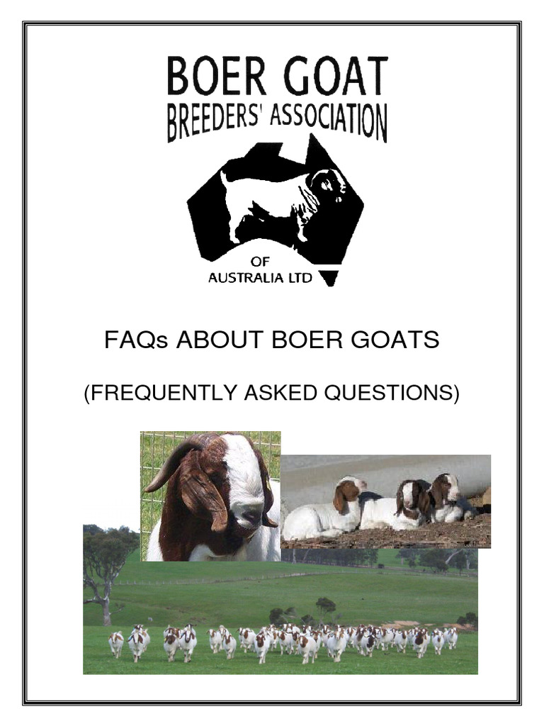 Boer Goat FAQs and Breeding Insights | PDF | Goat | Horse Breeding