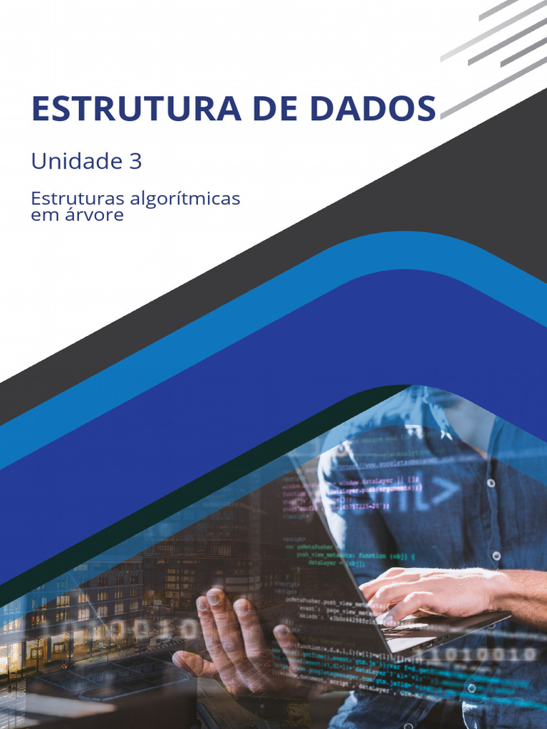 Algoritmo e Estruturas 3 | PDF | Estrutura de dados | Algoritmos
