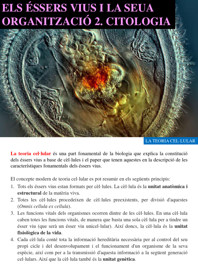 Els Ã Ssers Vius I La Seua Organitzaciã 2. Citologia 2 | PDF
