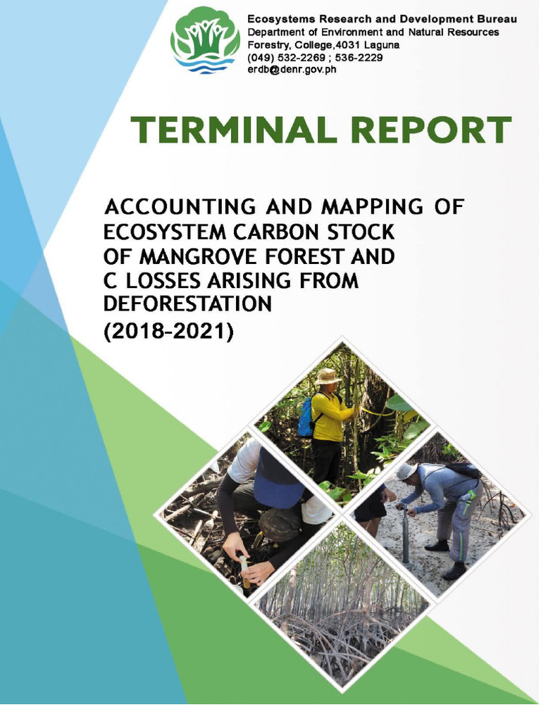 Sept 27, 2023 Final Report Mangrove Carbon mapping | PDF | Mangrove | Carbon Sequestration