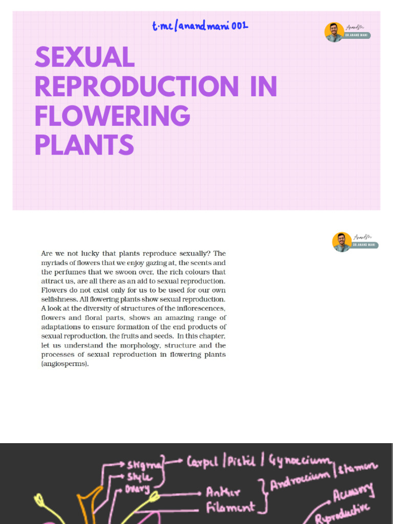 Sexual Reproduction in Flowering Plants | PDF | Flowers | Branches Of ...