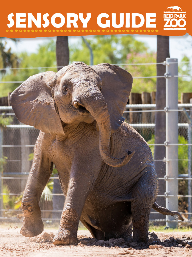 Sensory Guide Ed.2 1 | PDF | Zoo | Zoology