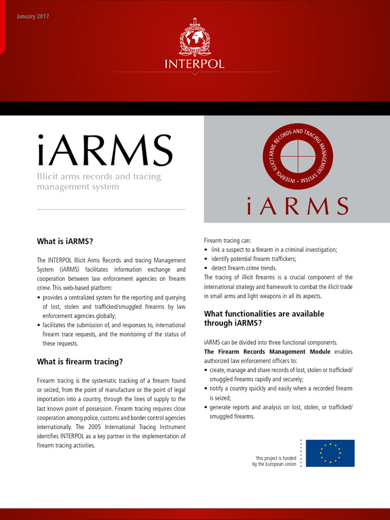 614 IARMS Projectsheets 2017-01 EN Web | PDF | Crimes | Crime & Violence