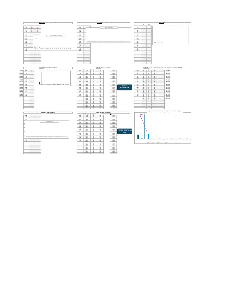 ARN SSOMA INF 001 Informe Mensual Junio | PDF