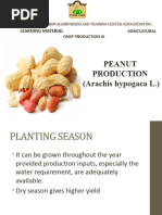 What Is Ratooning | PDF | Agriculture | Horticulture