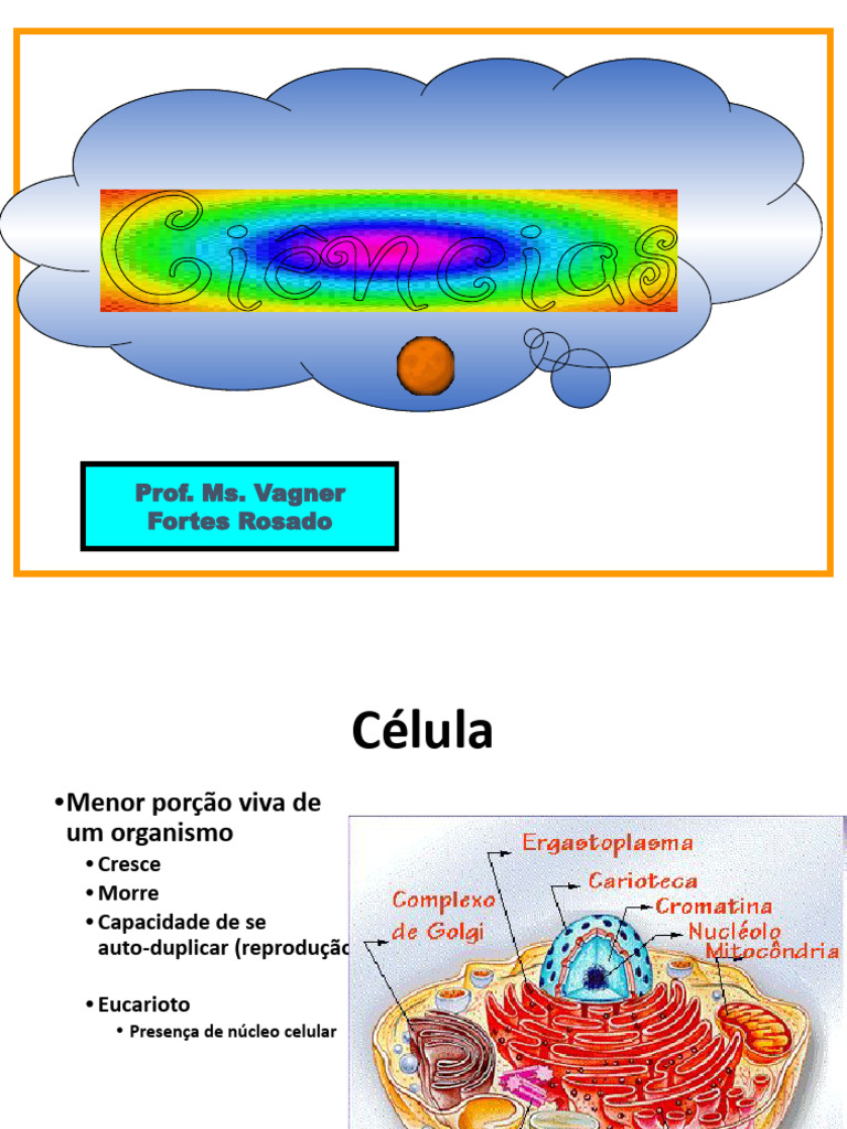 Estruturas e Funções das Células Eucarióticas | PDF | Célula (Biologia ...