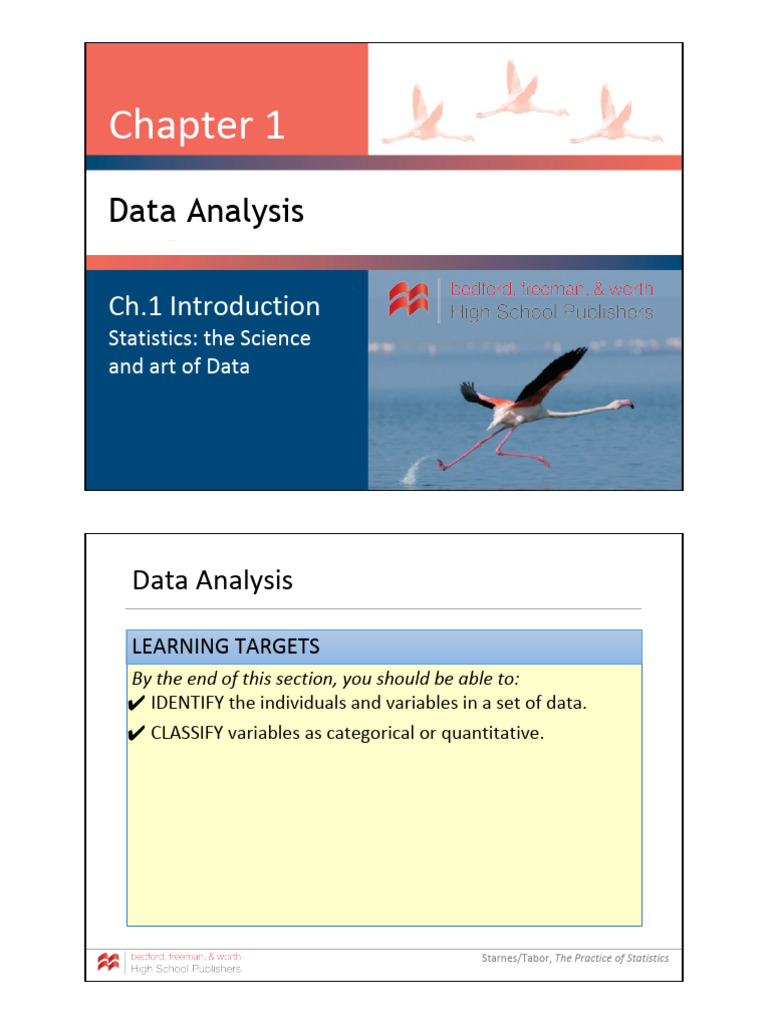 Chapter 1 Slides | PDF | Statistics | Descriptive Statistics