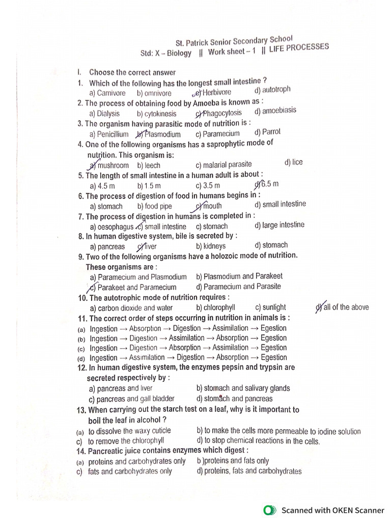 Science Worksheet | PDF