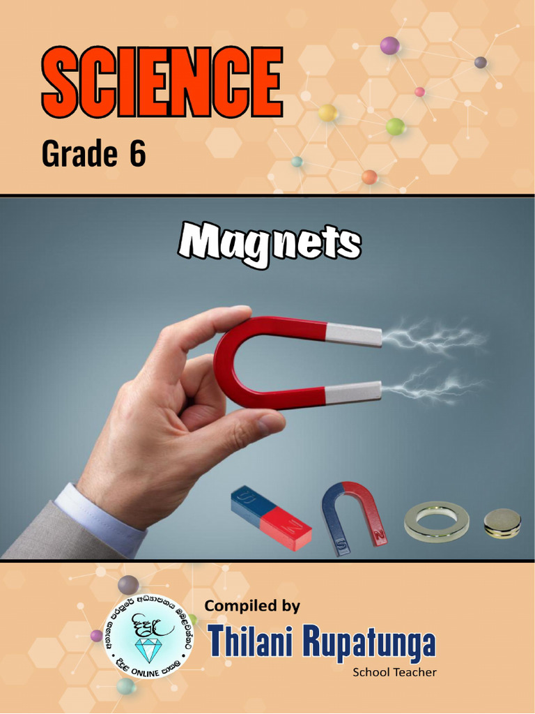 Grade 6 - Science - Magnetism | PDF | Magnet | Magnetism