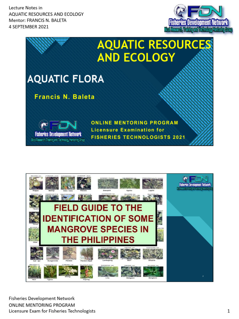 Aquatic Flora - FNBALETA - Compressed | PDF | Seaweed | Leaf