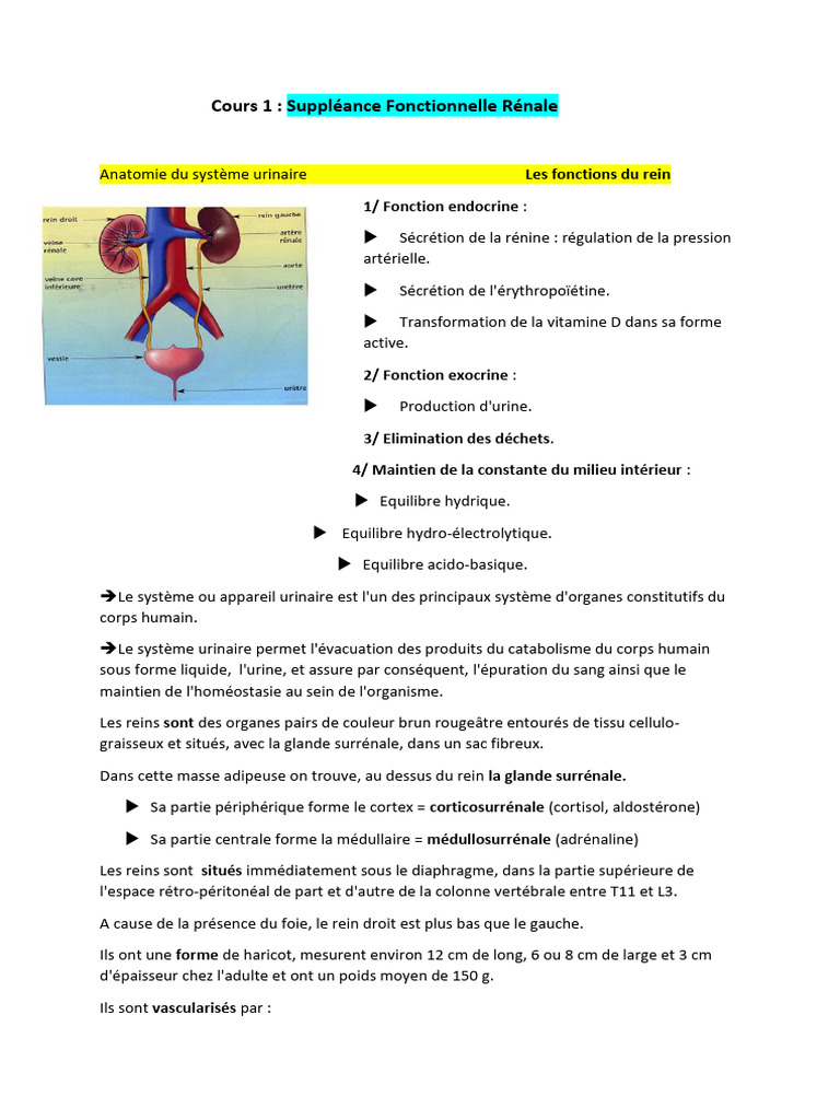 Suppléance Fonctionnelle Rénale et Dialyse | PDF | Glande surrénale | Rein