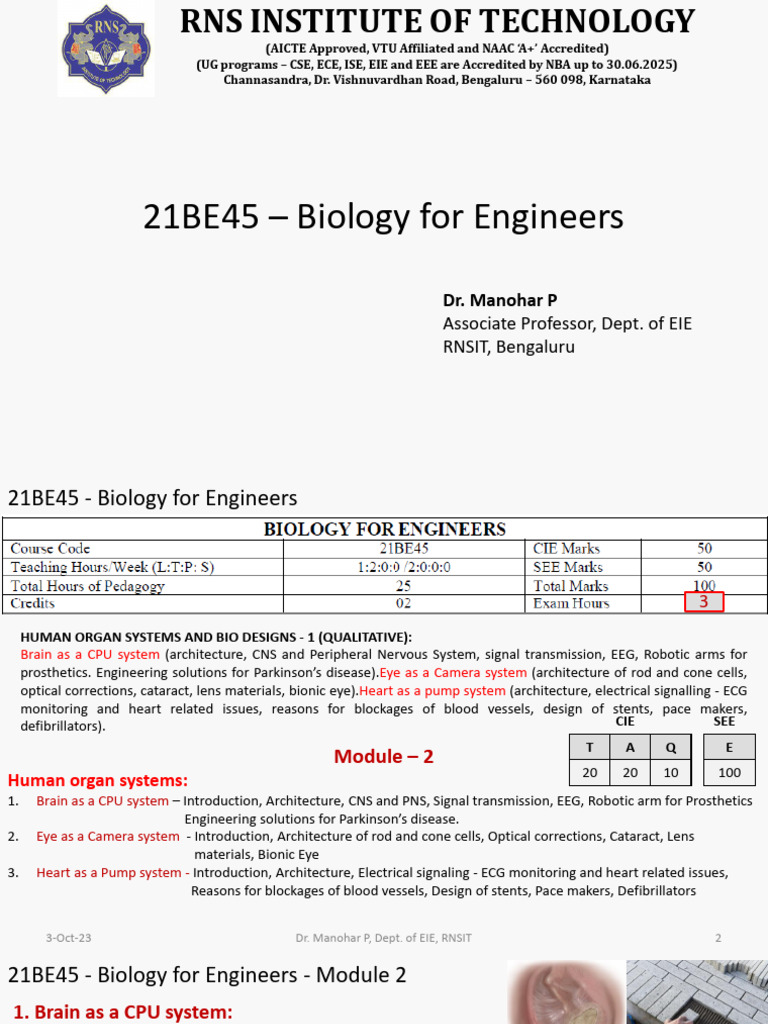 21BE45 - Mod 2 | PDF | Nervous System | Central Nervous System