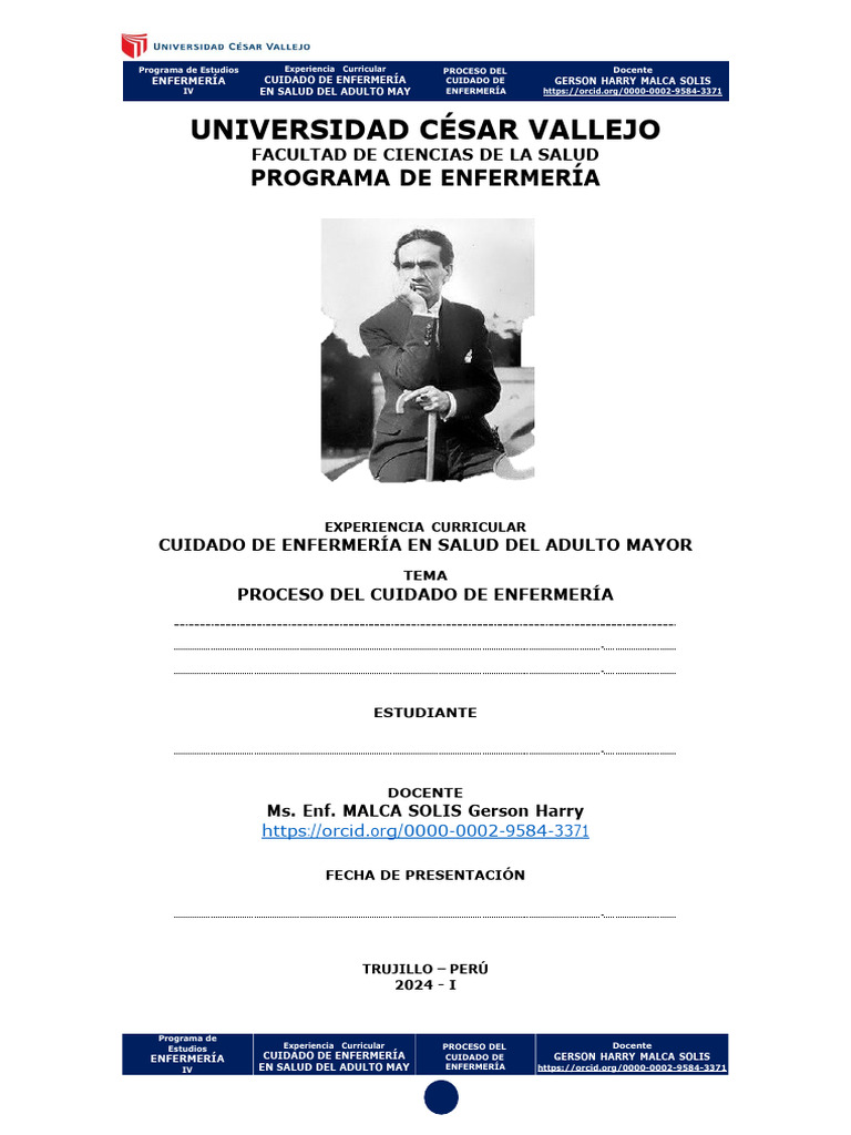 Pae - Formato - Gerson | PDF | Enfermería | Especialidades Medicas