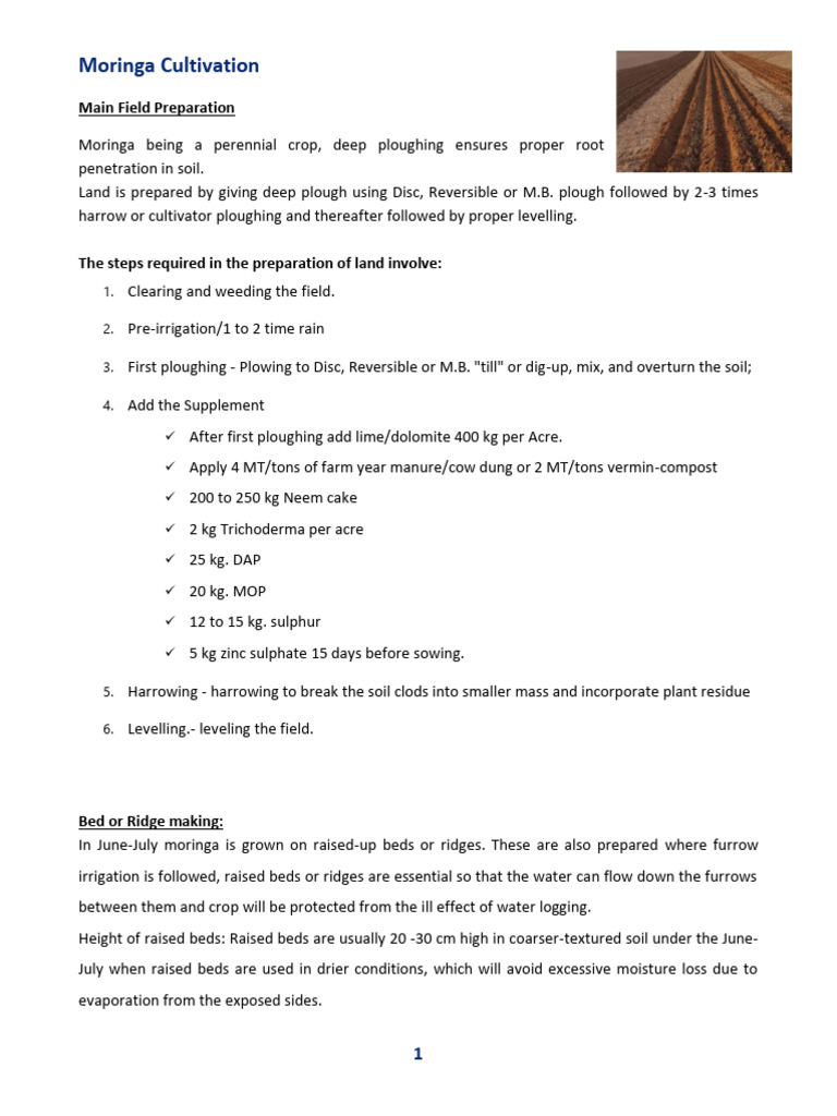 Pre-Planting Operation - Moringa and Papaya | PDF | Plough | Tillage