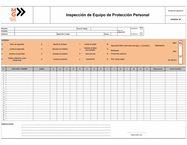 Inspeccion EPP | PDF