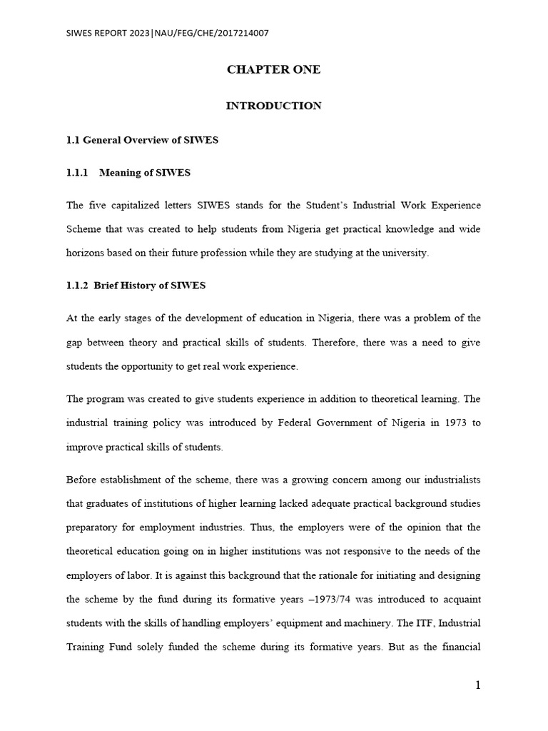 My IT Report | PDF | Paint | Polyester