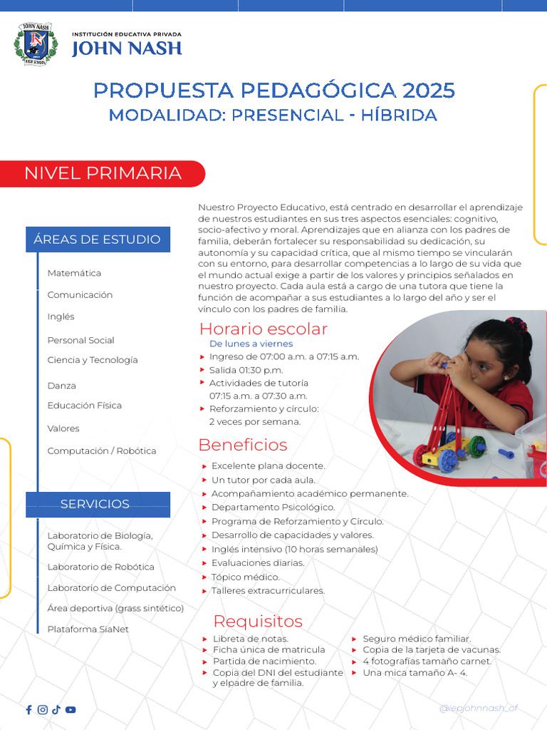 PROPUESTA PEGAGOGICA PRIMARIA 2025 | Descargar gratis PDF | Laboratorios | Aprendizaje