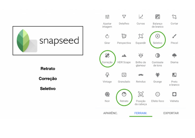 2 - Edição No Snapsed | PDF