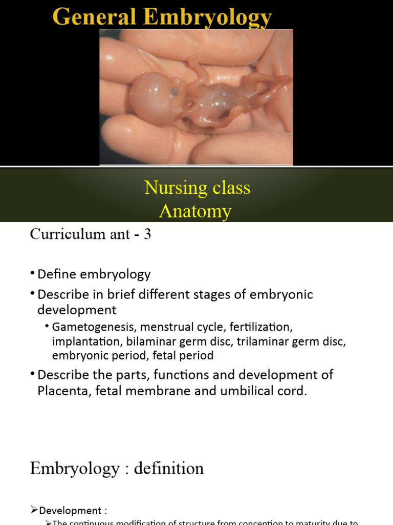 General Embryology 1 | PDF | Fertilisation | Embryo