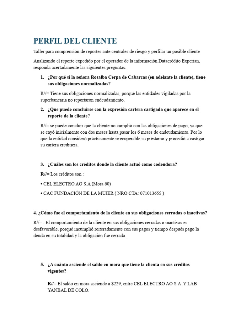 Perfil Cliente | PDF