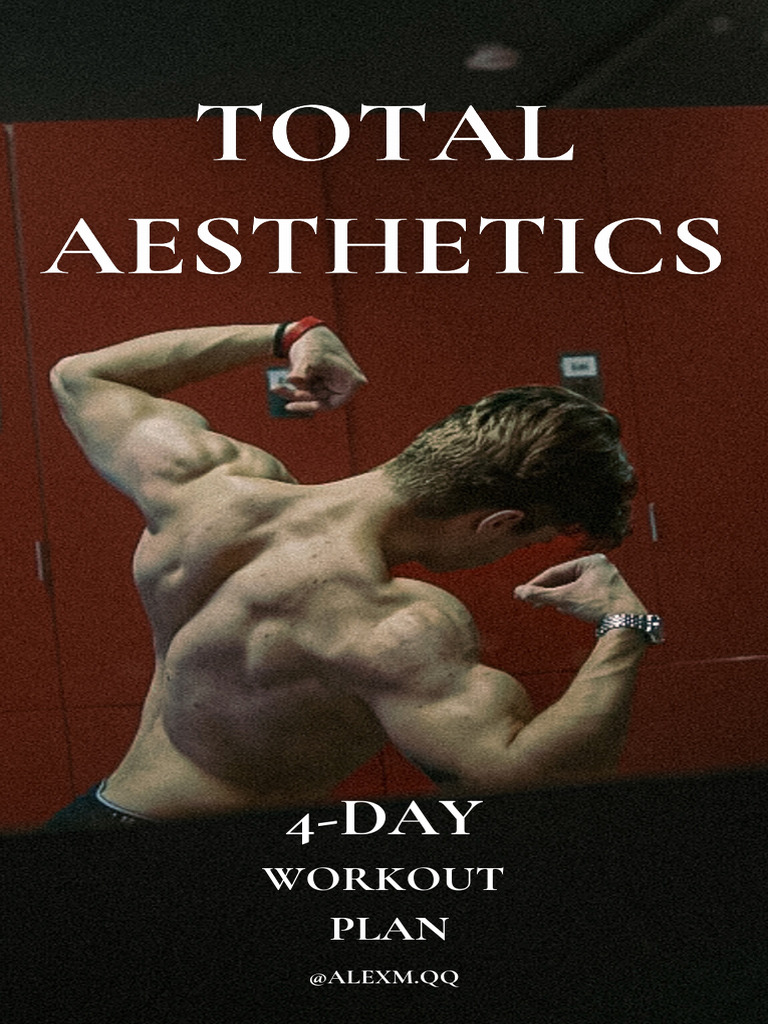 Total Aesthetics - 4 Day Workout Plan | PDF