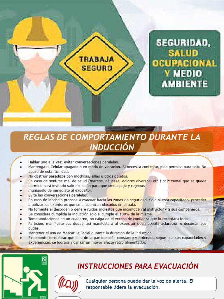 Anexo Nº4 - Inducción SST 2 | PDF | Riesgo