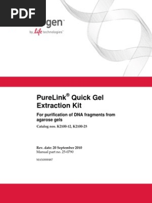 QIAquick Gel Extraction Kit En PDF Gel Electrophoresis, 54% OFF