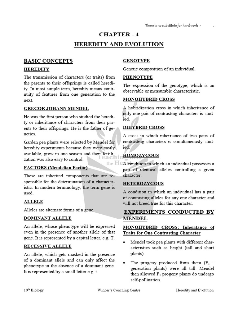 10th Biology Chapter 4 | PDF | Dominance (Genetics) | Allele