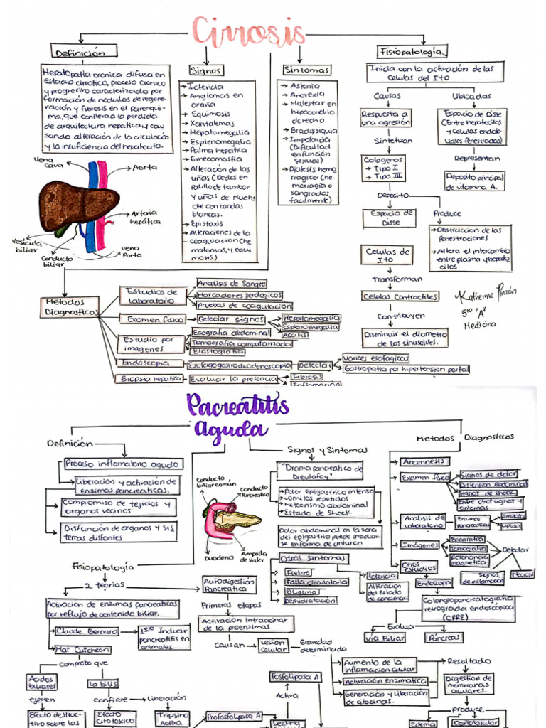 Mapa Conceptual Pancreatitis Aguda y Cirrosis | PDF