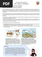 Phylum Arthropoda - Infografía | PDF | Insectos | Araña
