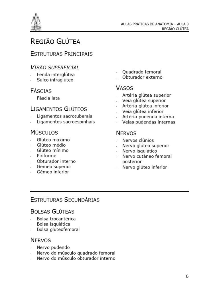 Anatomia da Região Glútea: Estruturas e Funções | PDF | Anatomia dos ...