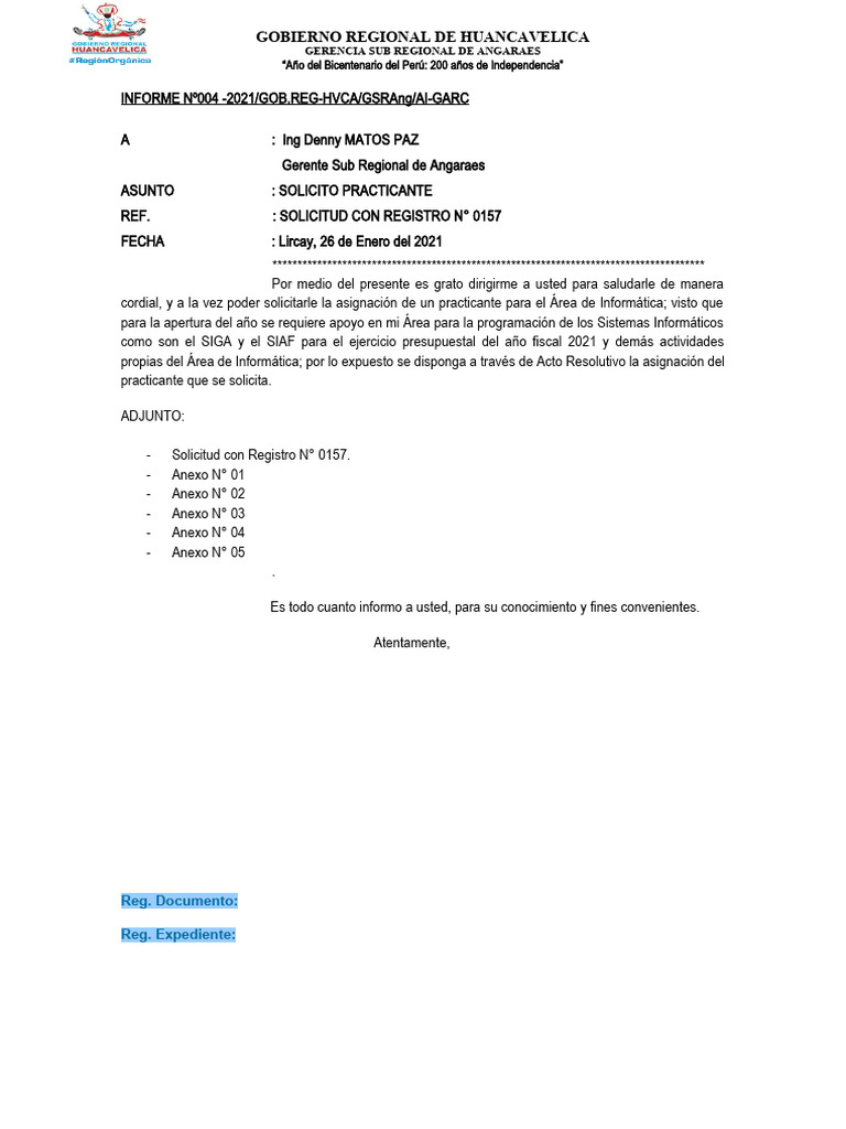 Solicitud de Practicante en Informática | PDF