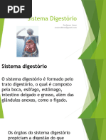 Quimo e Quilo | PDF | Digestão | Estômago