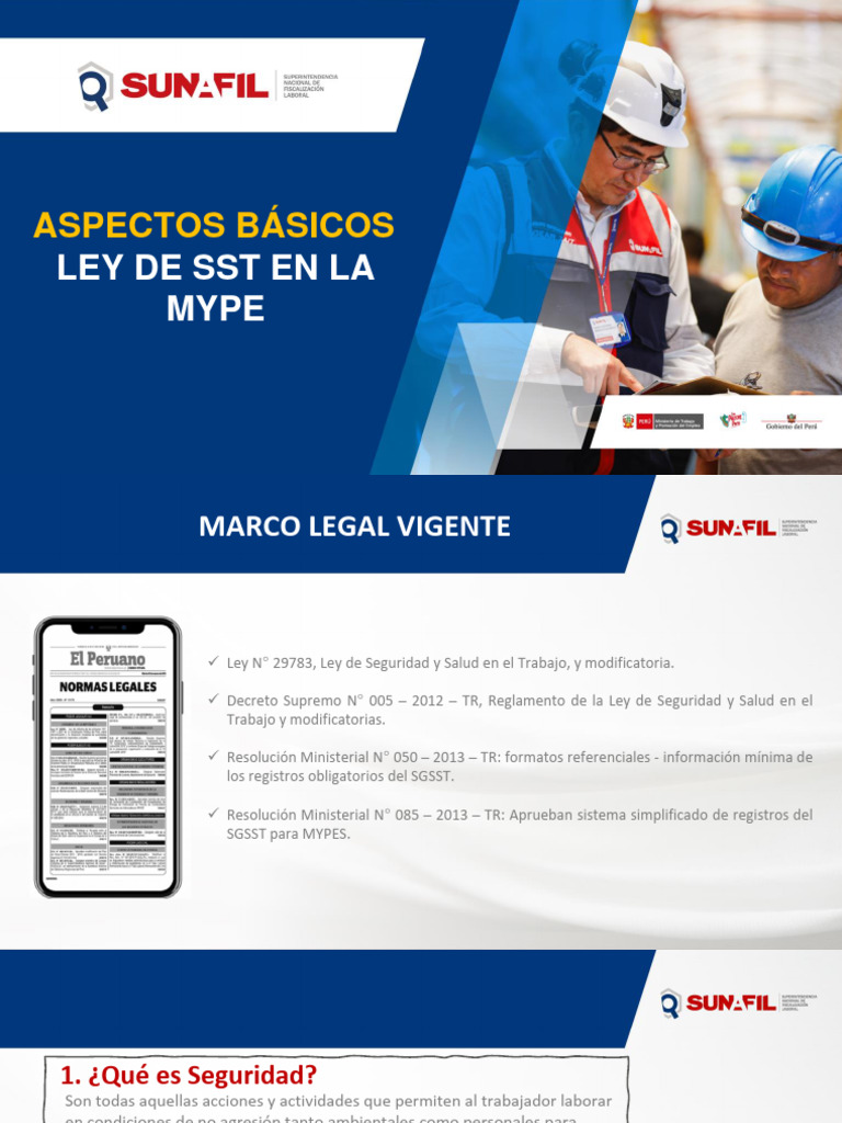 Aspectos Básicos de La Ley de SST en La Mype - 2024 | PDF | Valores