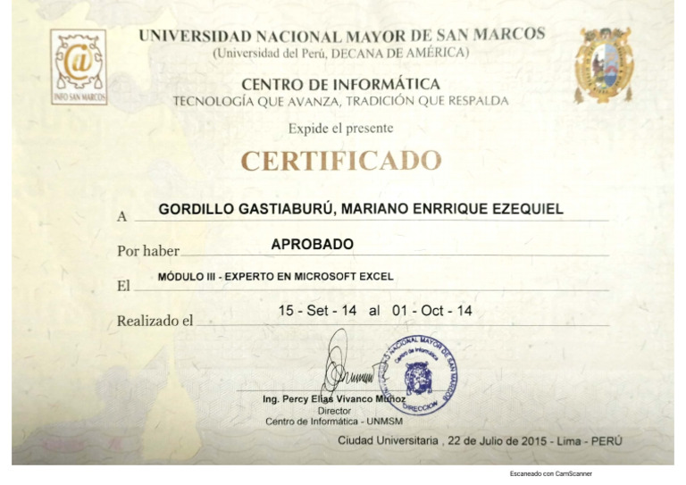 CERTIFICADO DE EXCEL UNMSM | PDF