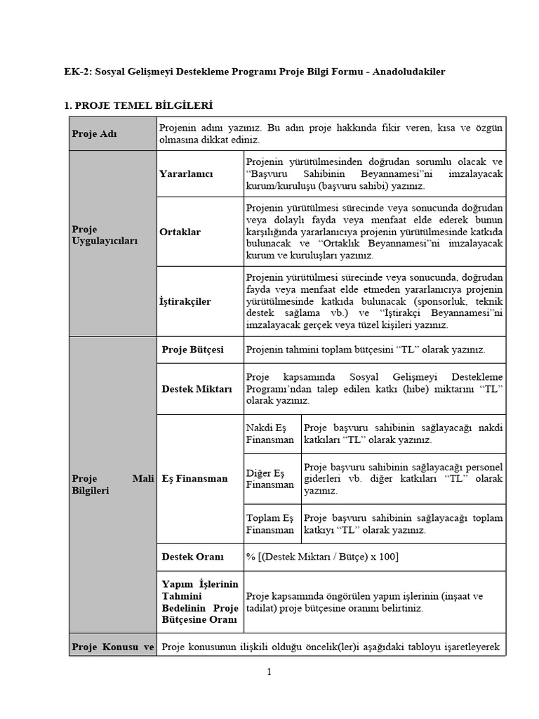 Sogep Proje Bilgi Formu - 1 | PDF
