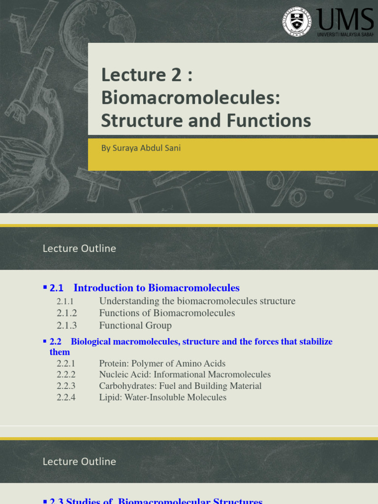 Lect 2 - Biomacromolecule | PDF | Nucleic Acids | Macromolecules