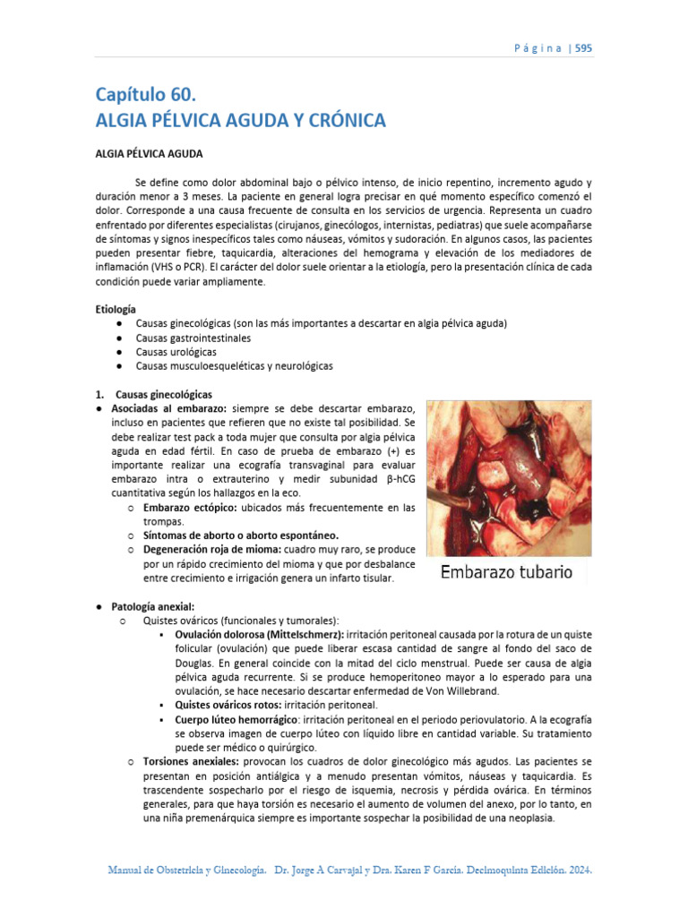 Algia Pélvica en Obstetricia 2024 | PDF | El embarazo | Síndrome del ...