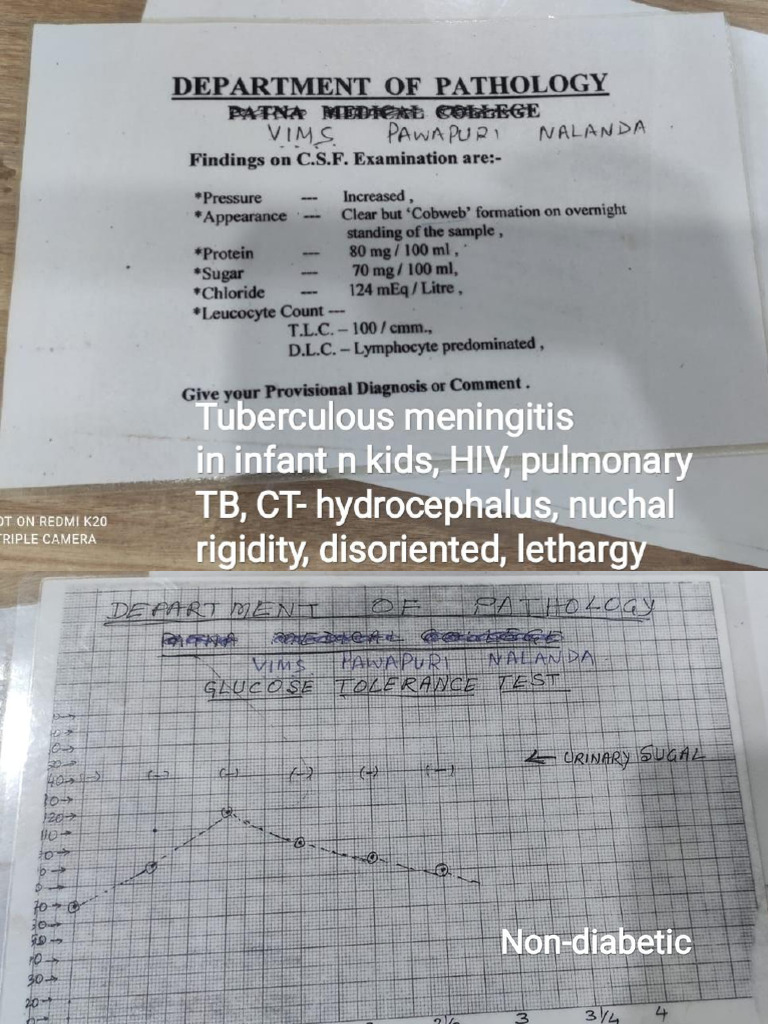 Instructions Patho | PDF