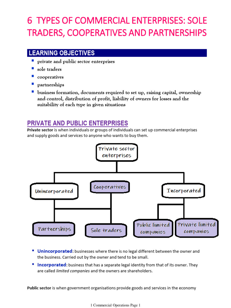 6 TYPES OF COMMERCIAL ENTERPRISES SOLE TRADERS, COOPERATIVES AND ...