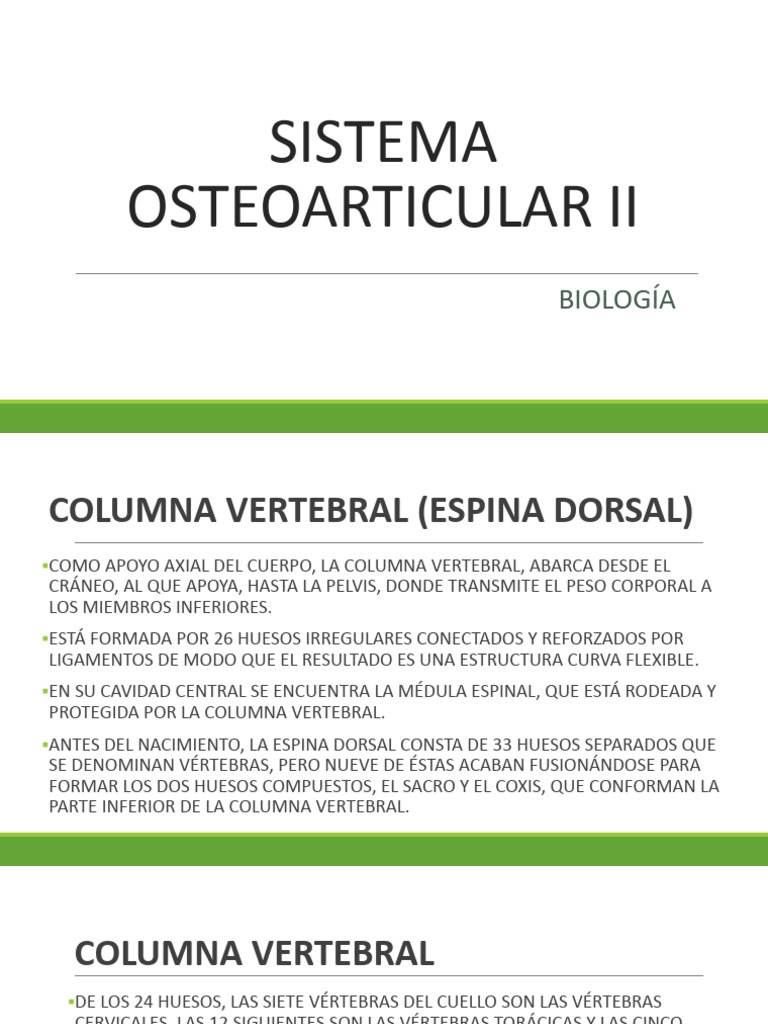 7.sistema Osteoarticular II | PDF | Articulación | Pelvis