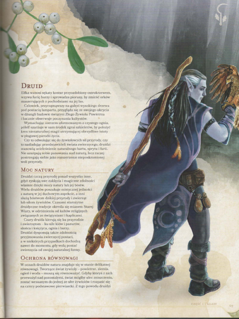 DND Klasy | PDF