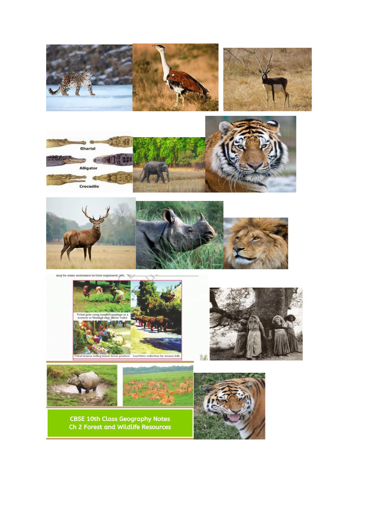 Pictures 2 | PDF