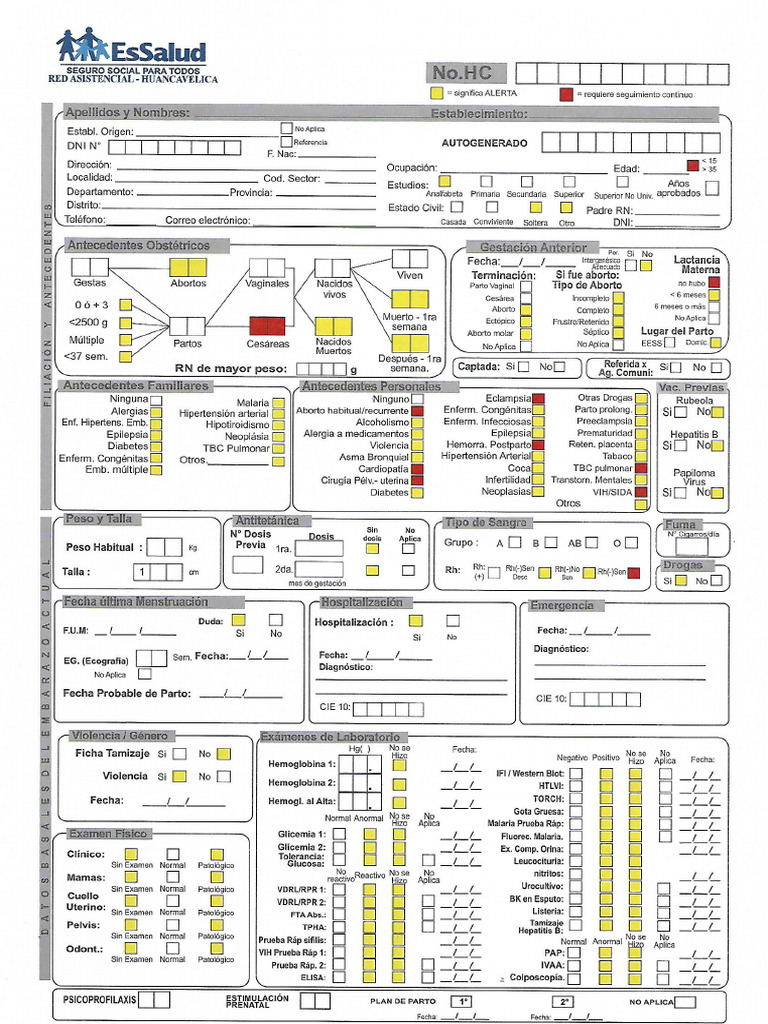 Historia Clinica Perinatal 1 | PDF