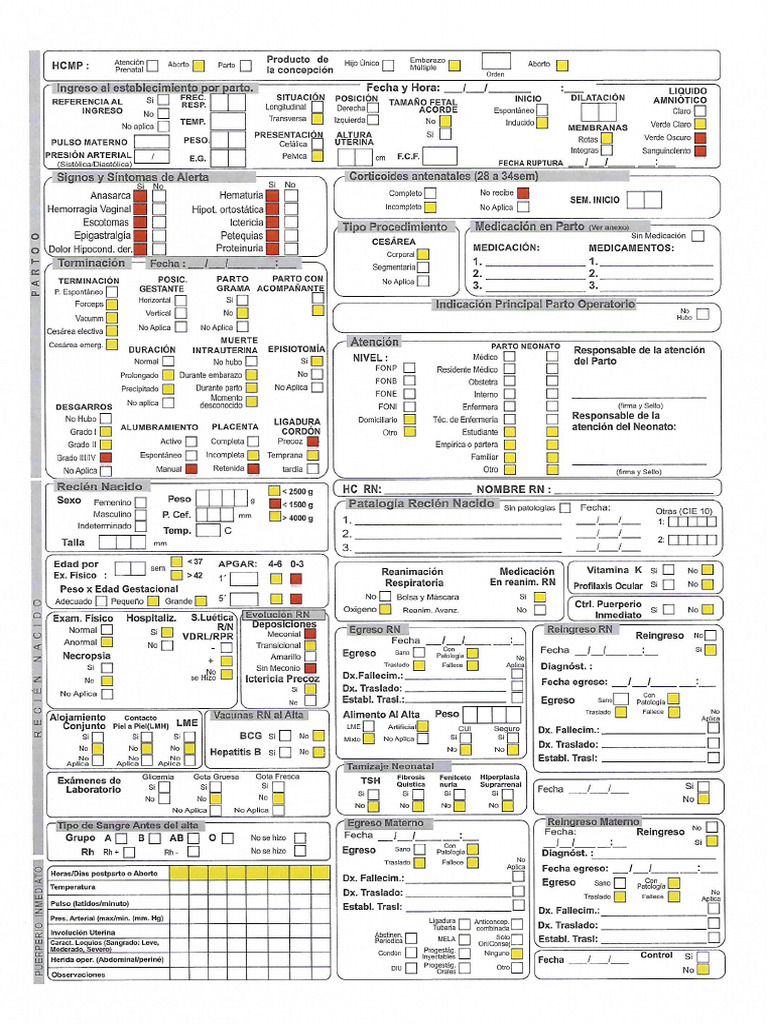 Historia Clinica Perinatal 3 | PDF