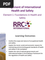 Principles of Sensible Risk Management | PDF