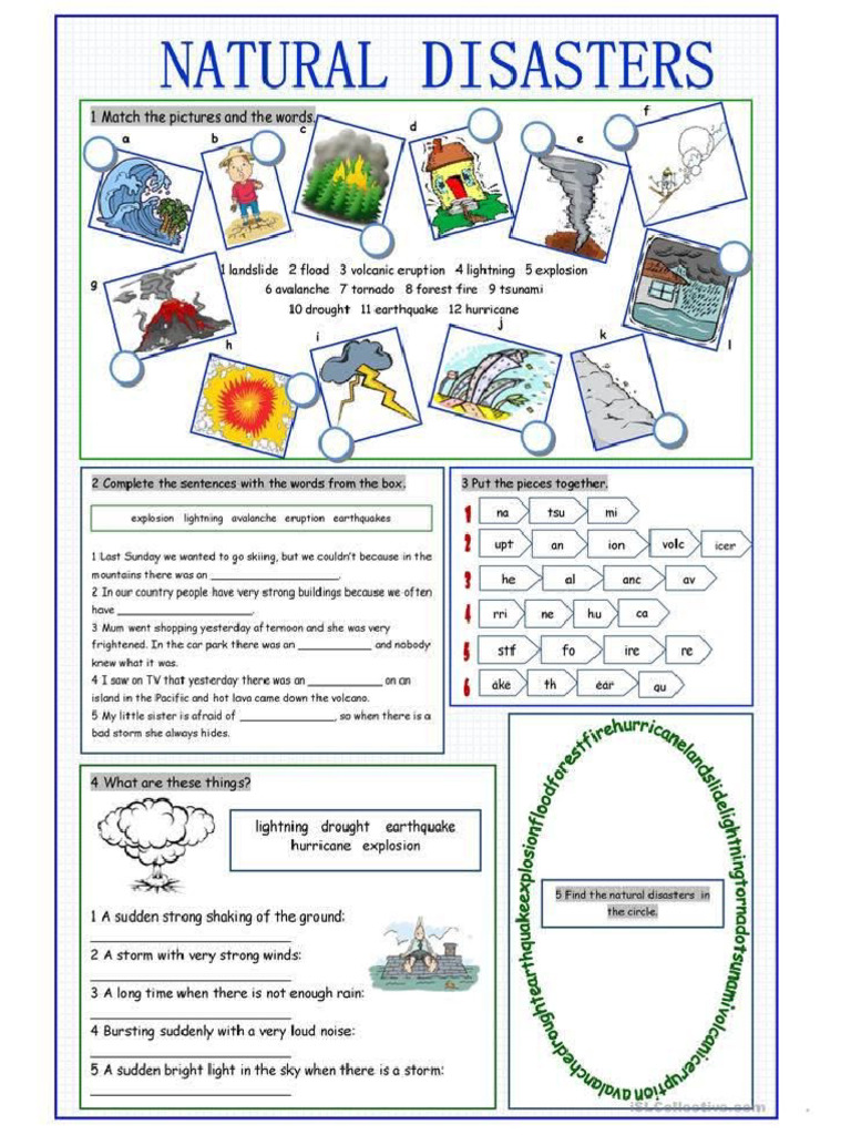 Natural Disasters | PDF