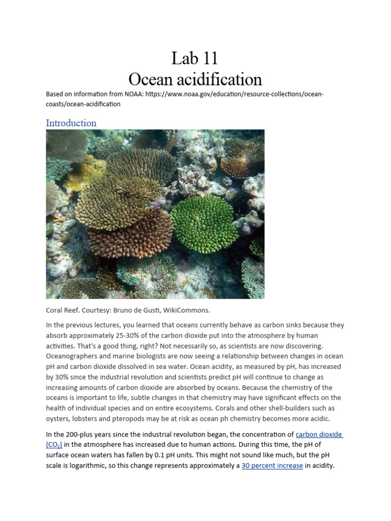 Chico State_ Oceanography lab 11 | PDF | Ocean Acidification | Oceans