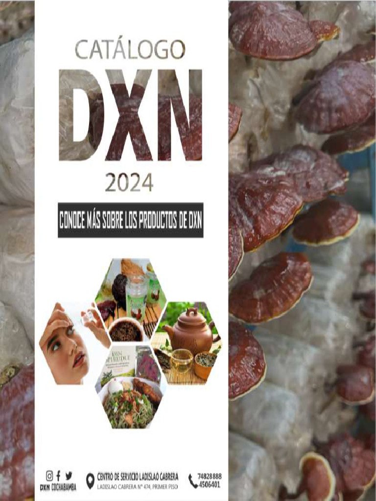 Catalogo DXN 2024 | PDF